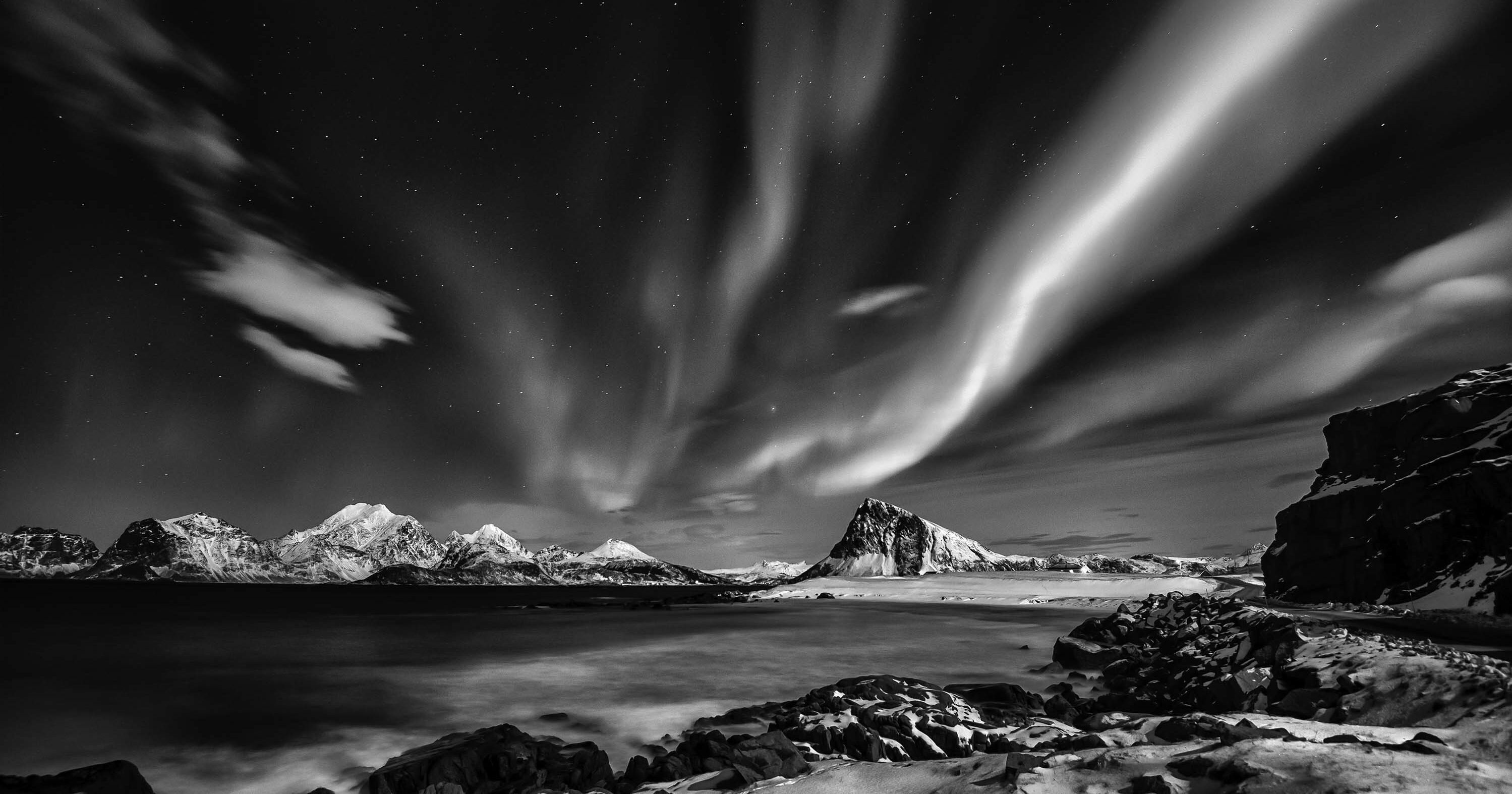 Firefish - Singapore Leading Brand Agency